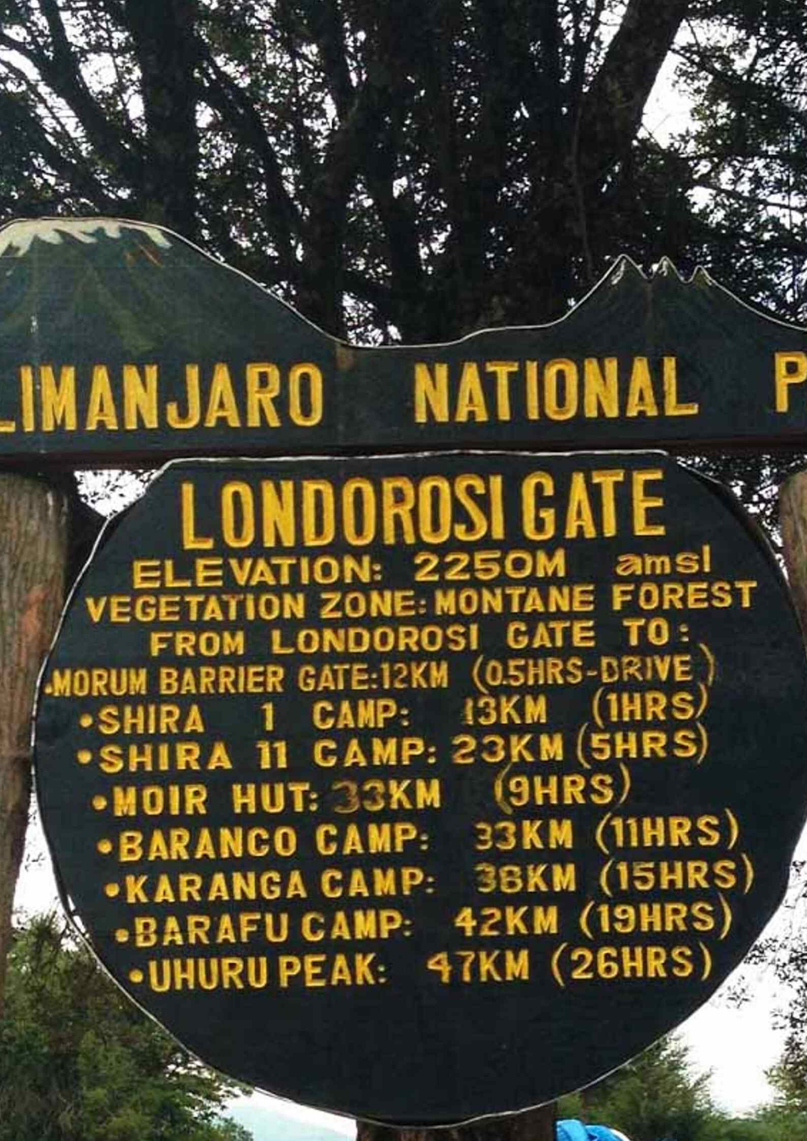 Kilimanjaro Lemosho Route: 7 or 8 days - Arusha Trips