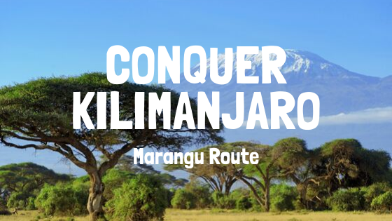 Kilimanjaro Marangu Route: 5 or 6 days - All Facts, pro's & con's ...