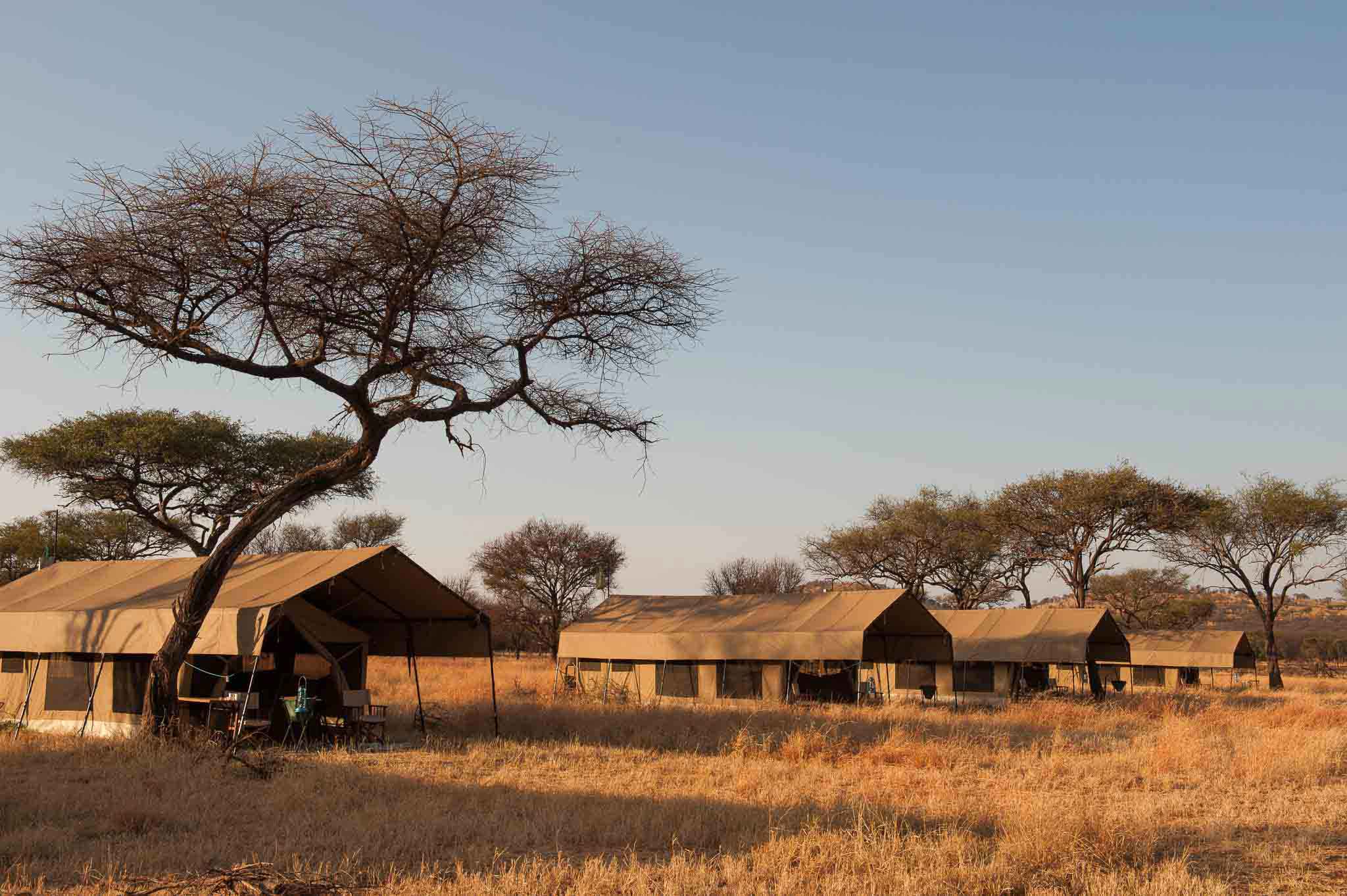 Kati Kati Tented Camp Serengeti Arusha Trips Kati Kati Tented Camp Serengeti Arusha Trips