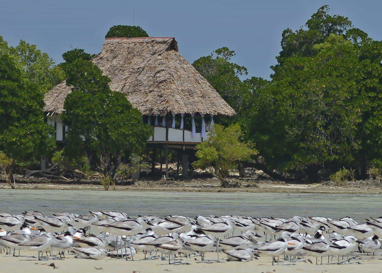 Fish Eagle Point - Arusha Trips