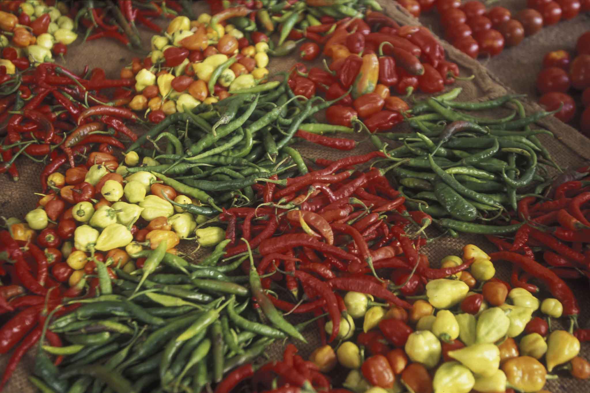 Spice Farm Tour - Zanzibar - Arusha Trips