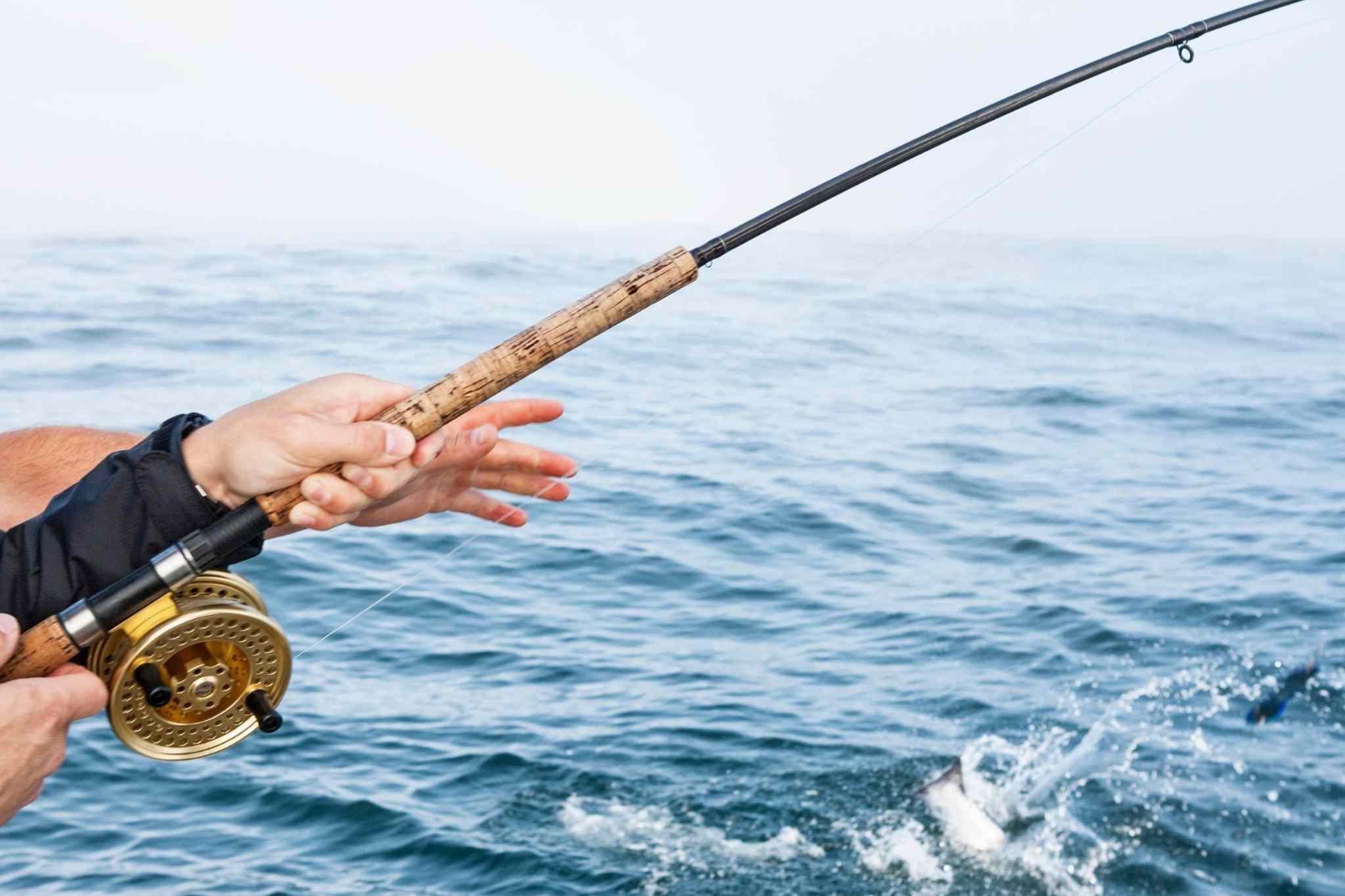 Deep-Sea Fishing Tour - Zanzibar - Arusha Trips