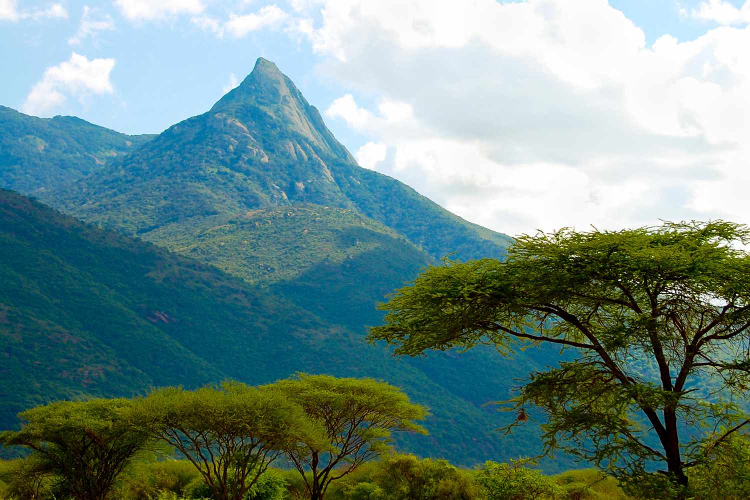 Climbing Mount Longido - Arusha Trips