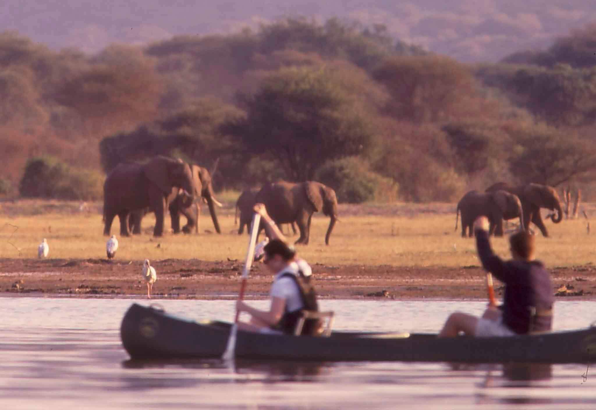 Canoe Safari at Lake Manyara - Arusha Trips