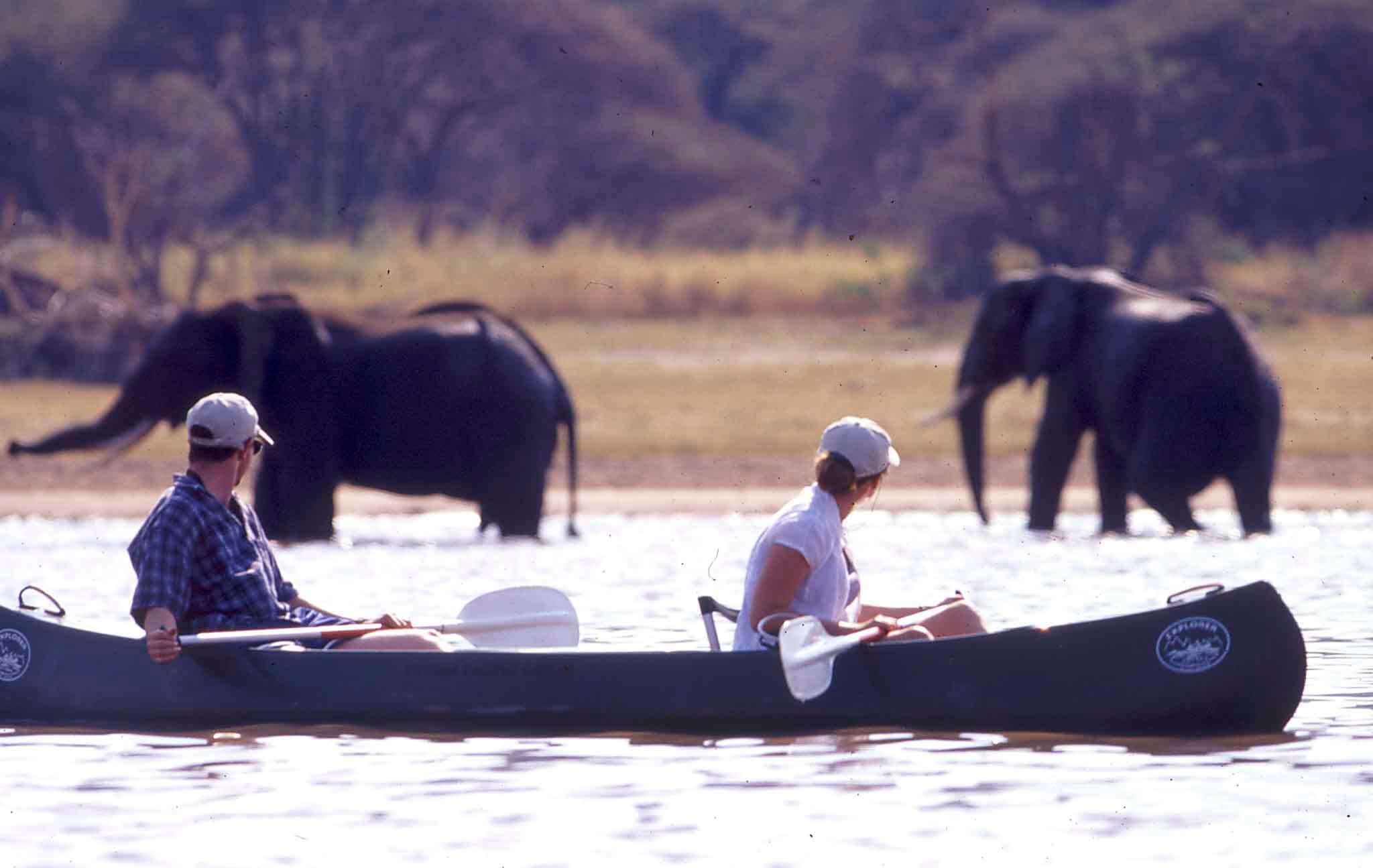 Canoe Safari at Lake Manyara - Arusha Trips